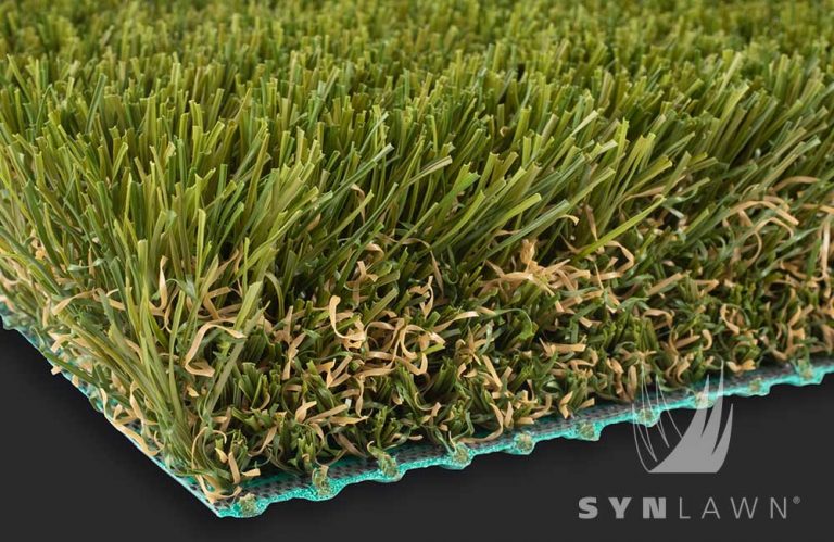 SYNAugustine X47 - SYNLawn Texas